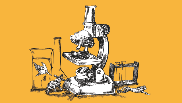 Does Size Matter? | Bang! Science Magazine Does Size Matter? | Bang! Science Magazine